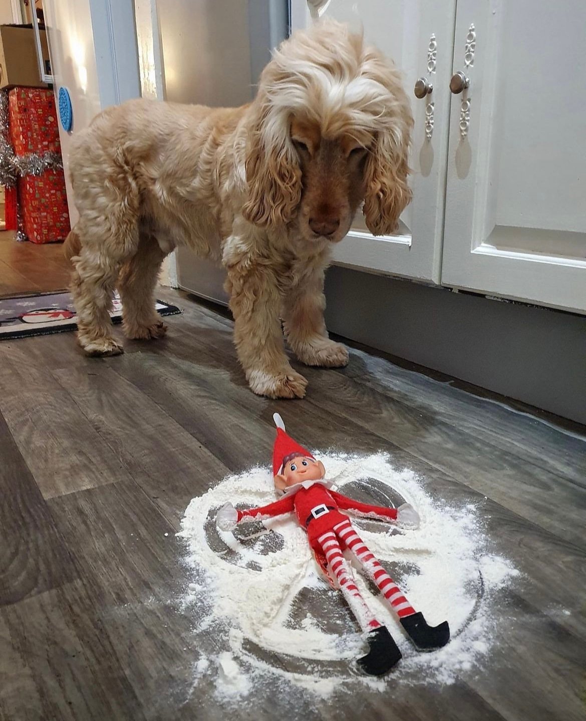 17 Naughty Elf on the Shelf Ideas - Just Simply Mom