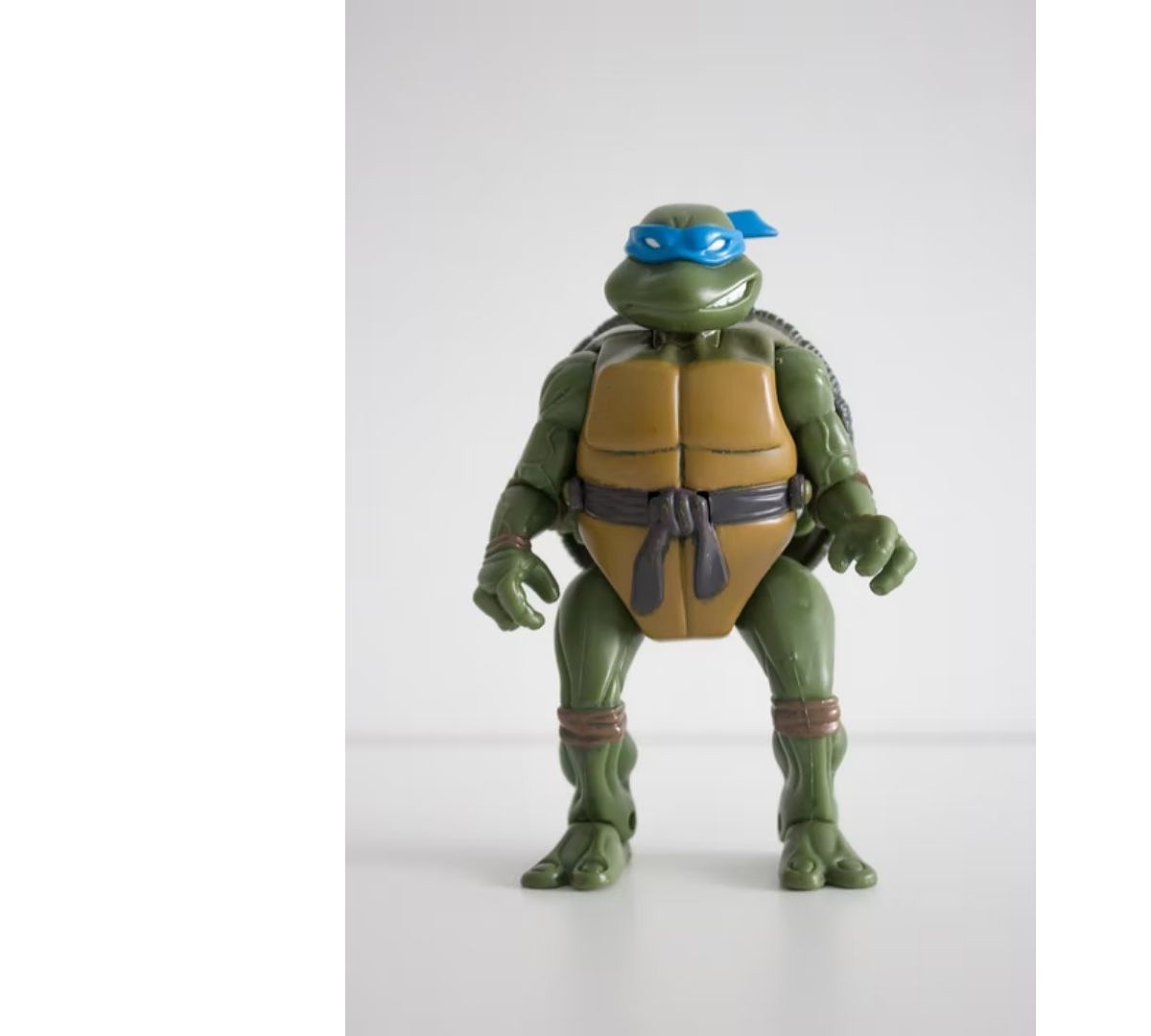 Ultimate List of Ninja Turtle Names for Parents of Obsessed Kids - Just ...
