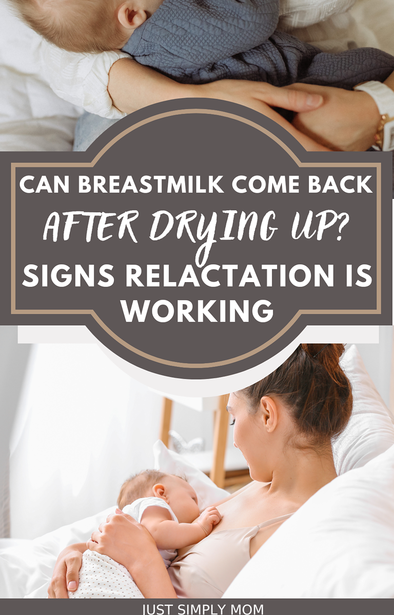 Can Breastmilk Come Back After Drying Up: Signs Relactation is Working ...