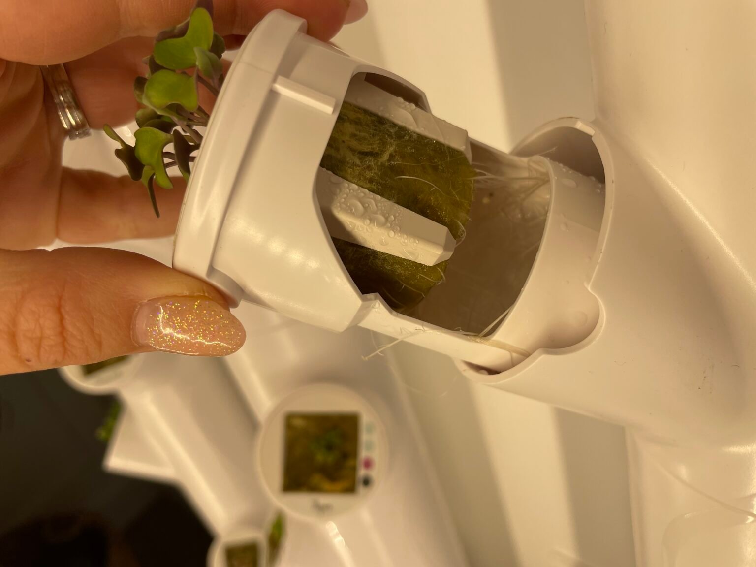 Growing Clean & Organic Plants from Home with Gardyn Smart Hydroponic ...